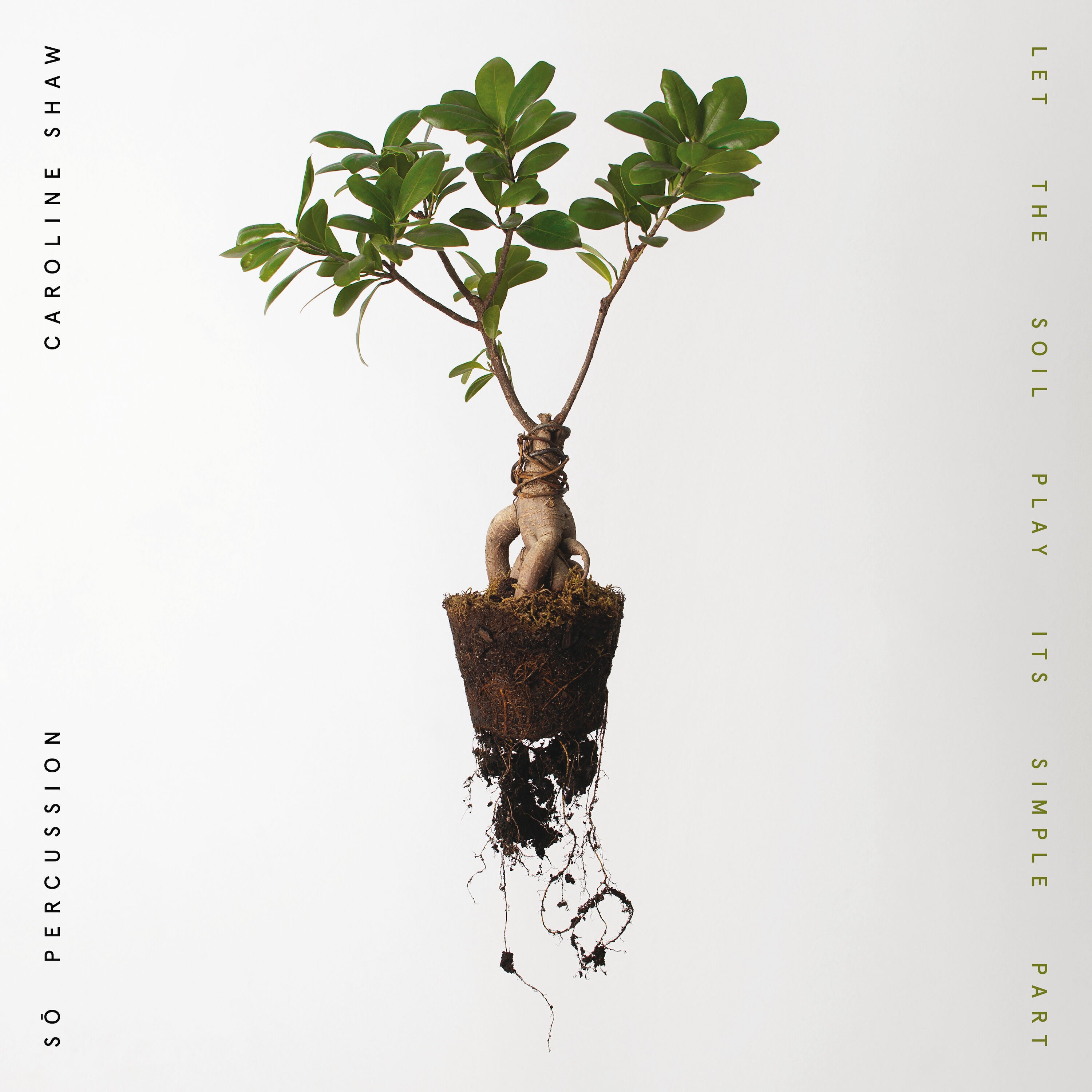 Let the Soil Play Its Simple Part HD Digital FLAC Album (96kHz/24bit ...